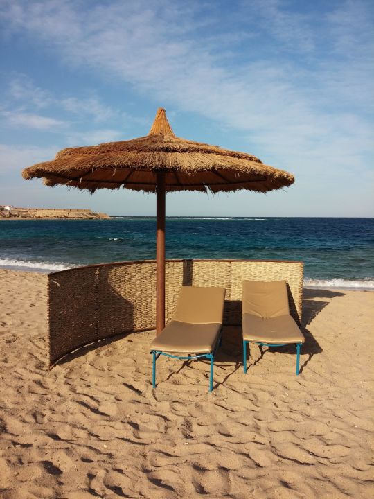 "Liegen am Strand" Coral Sun Beach (Safaga) • HolidayCheck (Hurghada ...