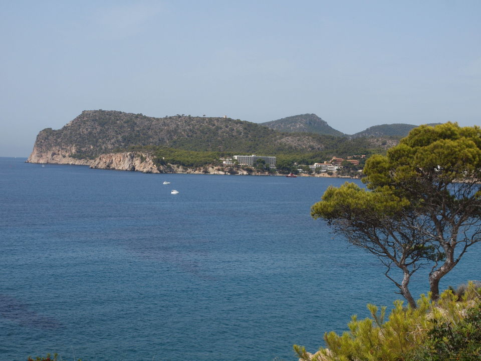 "Bucht von Paguera" Hapimag Resort Paguera (Peguera) • HolidayCheck ...