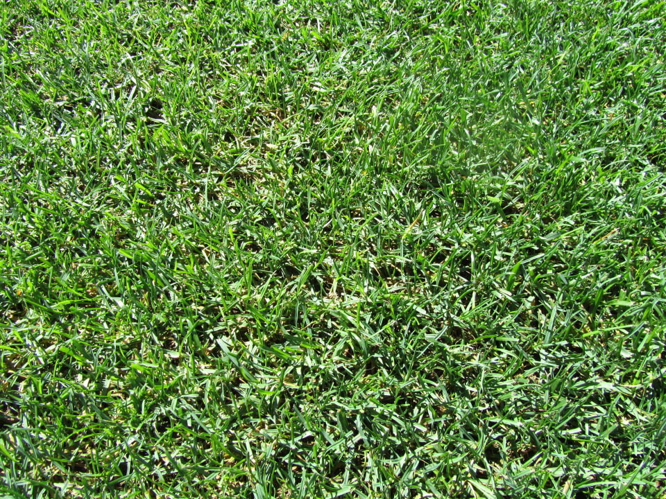 "Englischer Rasen" Hotel Patrizia (Tirolo / Dorf Tirol) • HolidayCheck ...