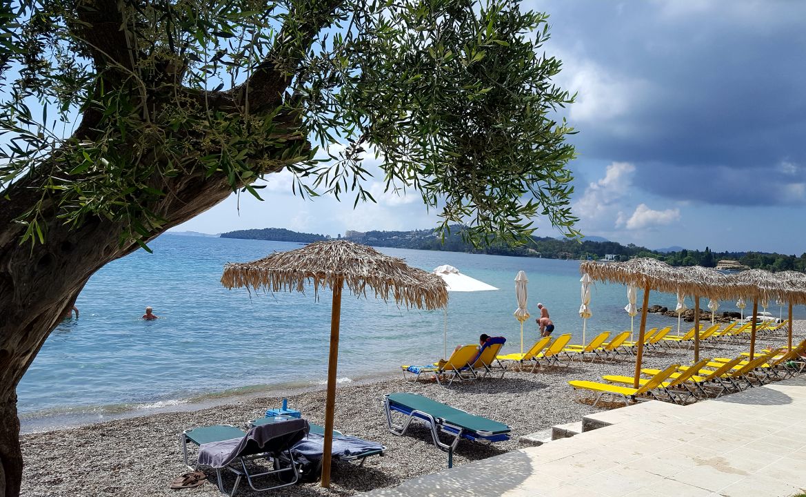 "Strand" Elea Beach Hotel (Dassia) • HolidayCheck (Korfu | Griechenland)
