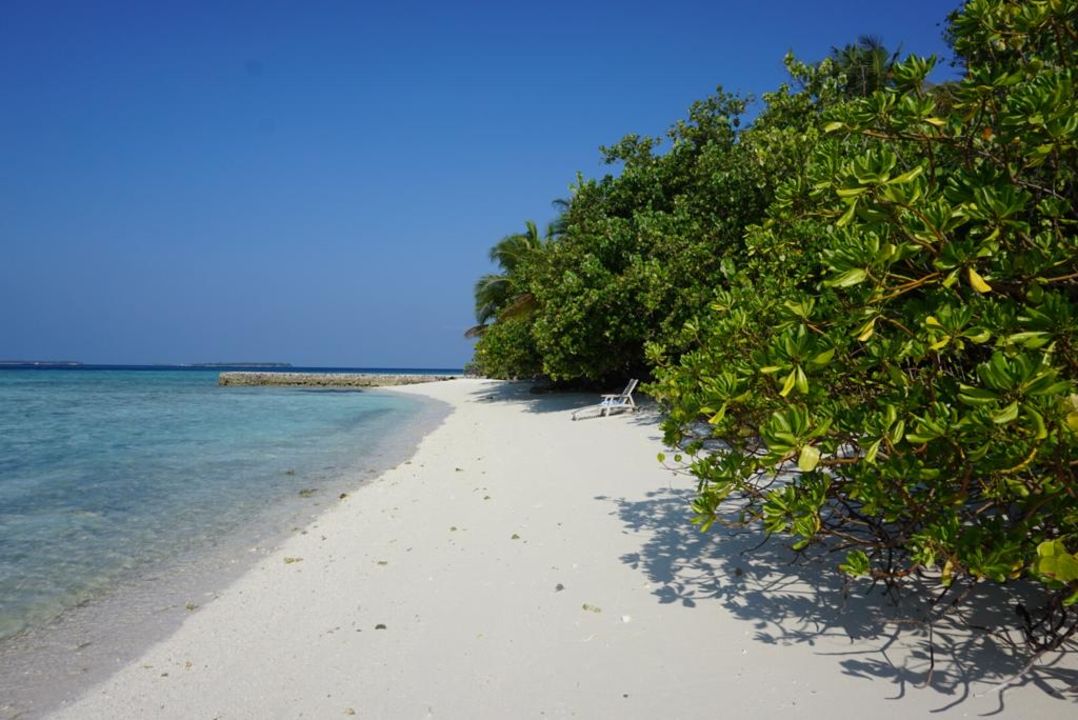 "Strand" Makunudu Island (Gaafaru) • HolidayCheck (Kaafu Atoll | Malediven)