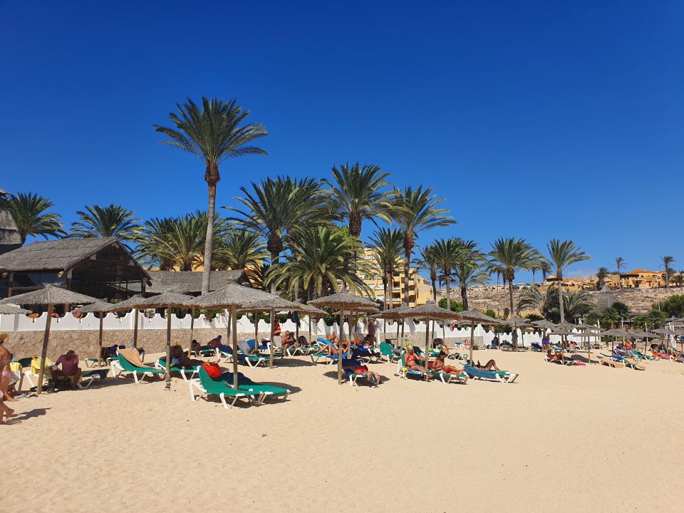 "Strand" SBH Costa Calma Beach Resort (Costa Calma) • HolidayCheck ...