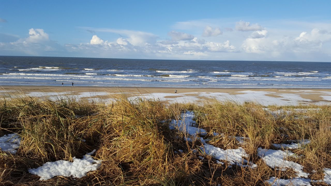 "Strand" Center Parcs Park Zandvoort - Ferienhäuser (Zandvoort ...