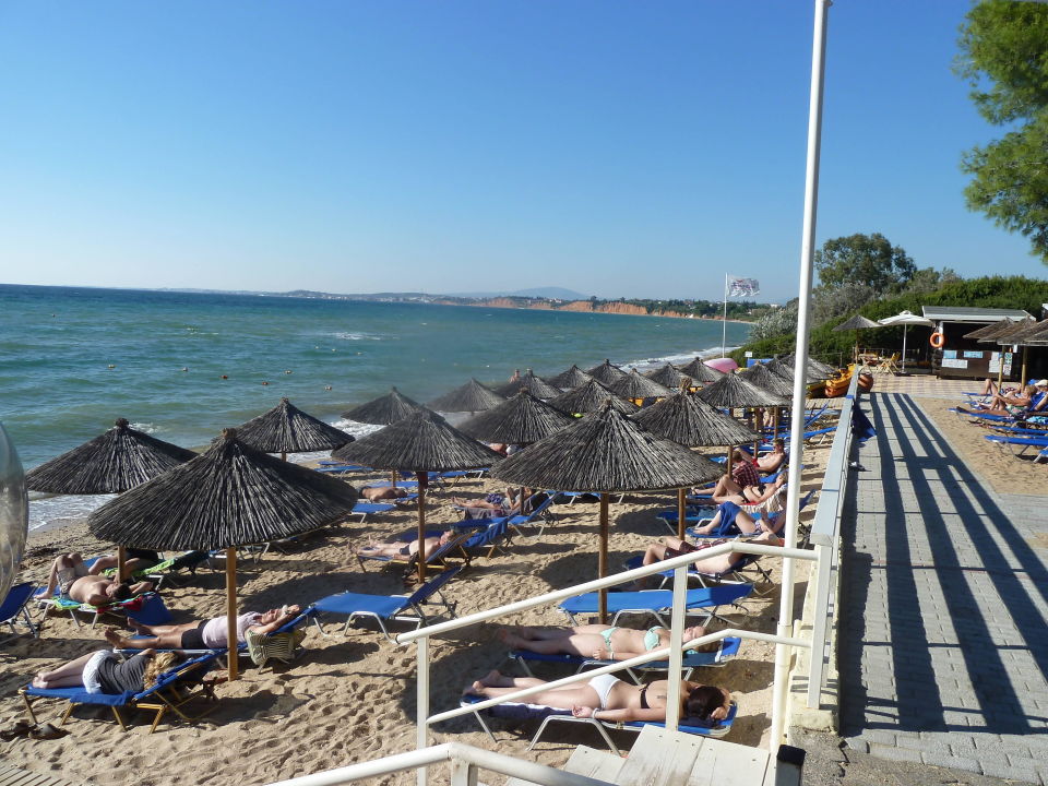 "Hotelstrand" Hotel Portes Beach (Nea Potidea) • HolidayCheck ...