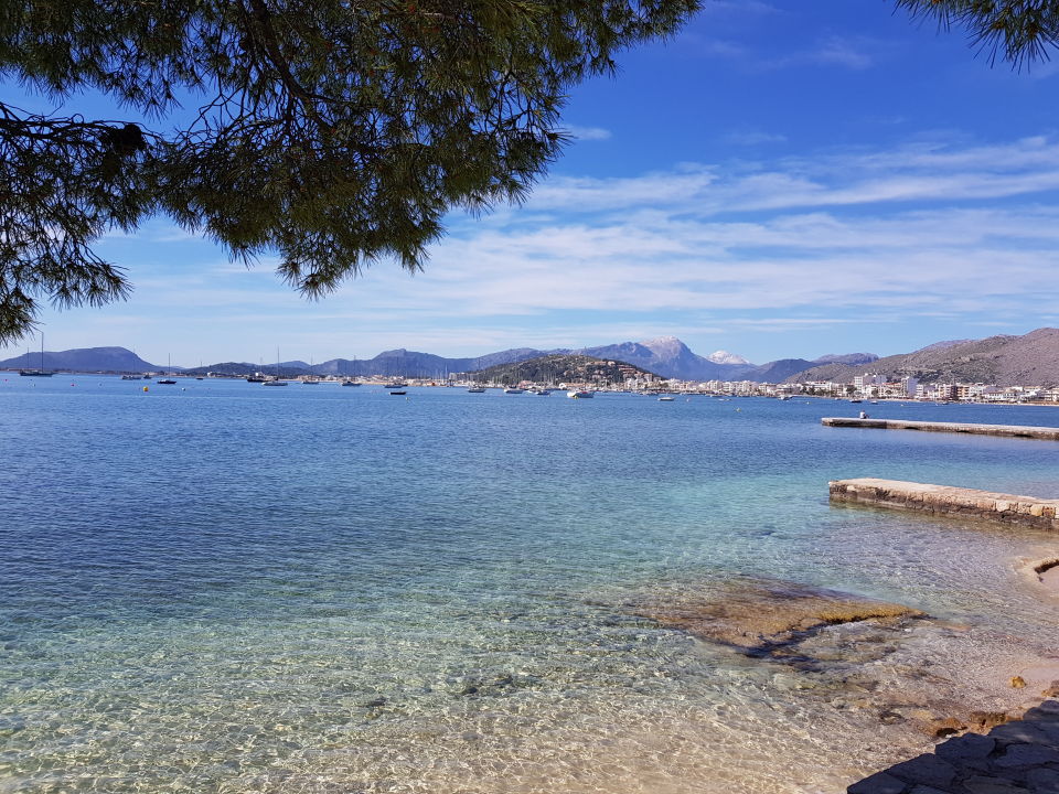 "Strand" Mar Hotels Playa Mar & Spa (Port de Pollença / Puerto de ...