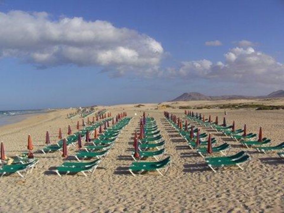 "Liegen am Strand" Hotel Riu Oliva Beach Resort (Corralejo ...