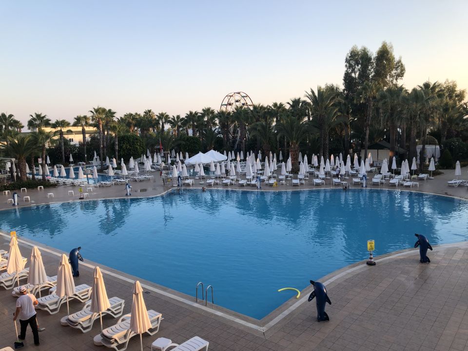 "Pool" Delphin Deluxe Resort (Okurcalar) • HolidayCheck (Türkische ...