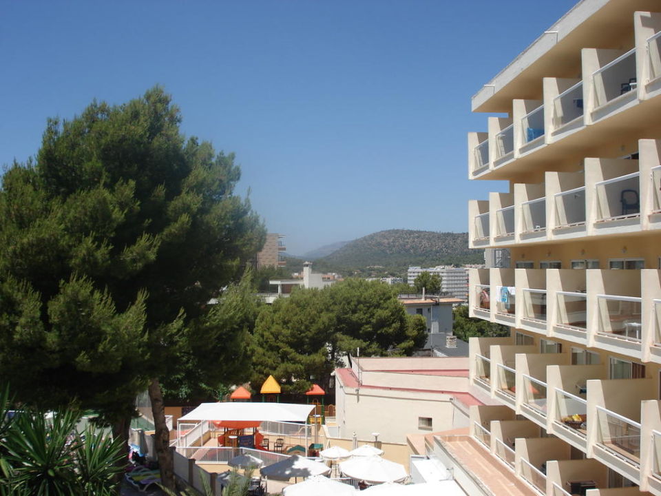 "Hotel" AluaSun Torrenova (Palmanova) • HolidayCheck (Mallorca | Spanien)
