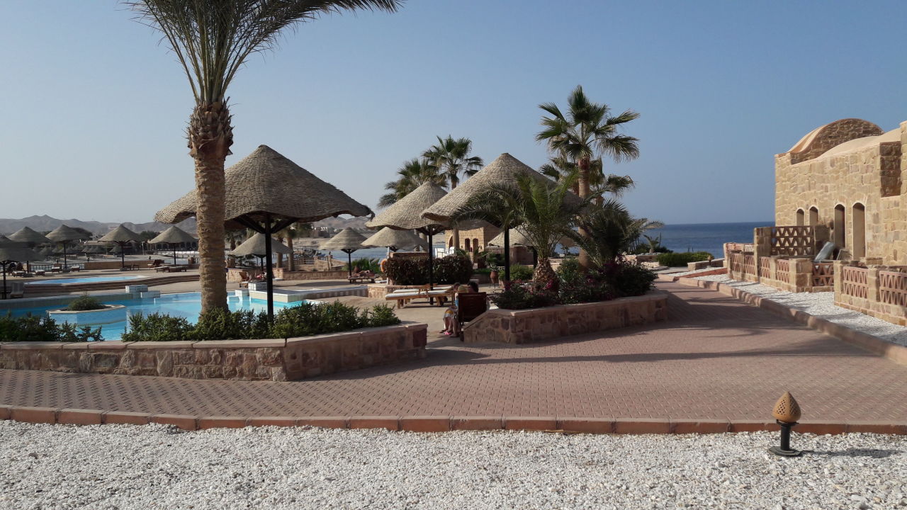 "Ausblick" Mövenpick Resort El Quseir (El Quseir) • HolidayCheck (Marsa ...