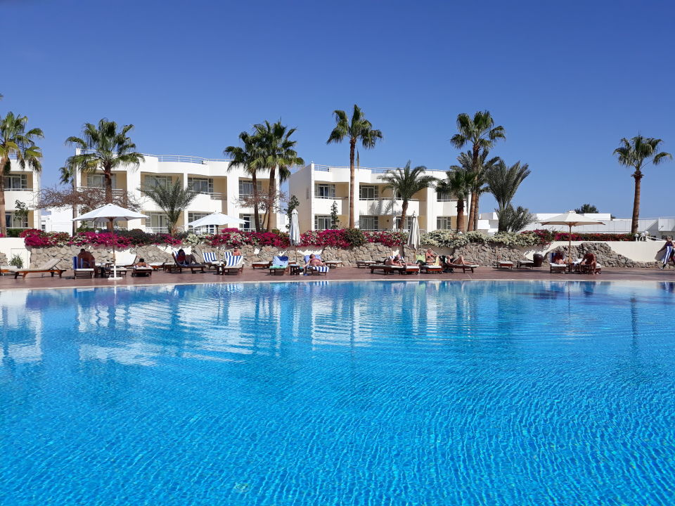 "Pool" Sharm Reef Resort (Hadabat Umm es-Sid) • HolidayCheck (Sharm el ...