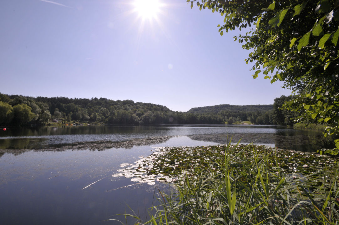 "Der Silbersee" Ferienwohnpark Silbersee (Frielendorf) • HolidayCheck ...