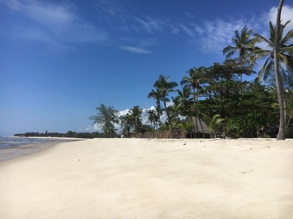 "Strand" Resort Amani Tiwi Beach (Tiwi Beach) • HolidayCheck (Provinz ...