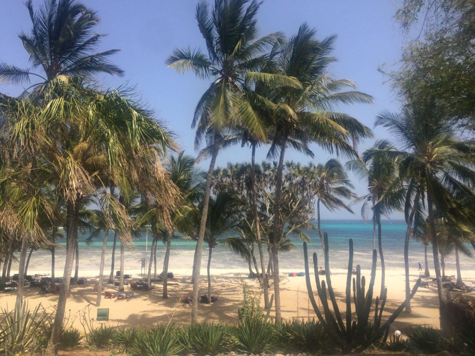 "Tiwi Beach" Resort Amani Tiwi Beach (Tiwi Beach) • HolidayCheck ...