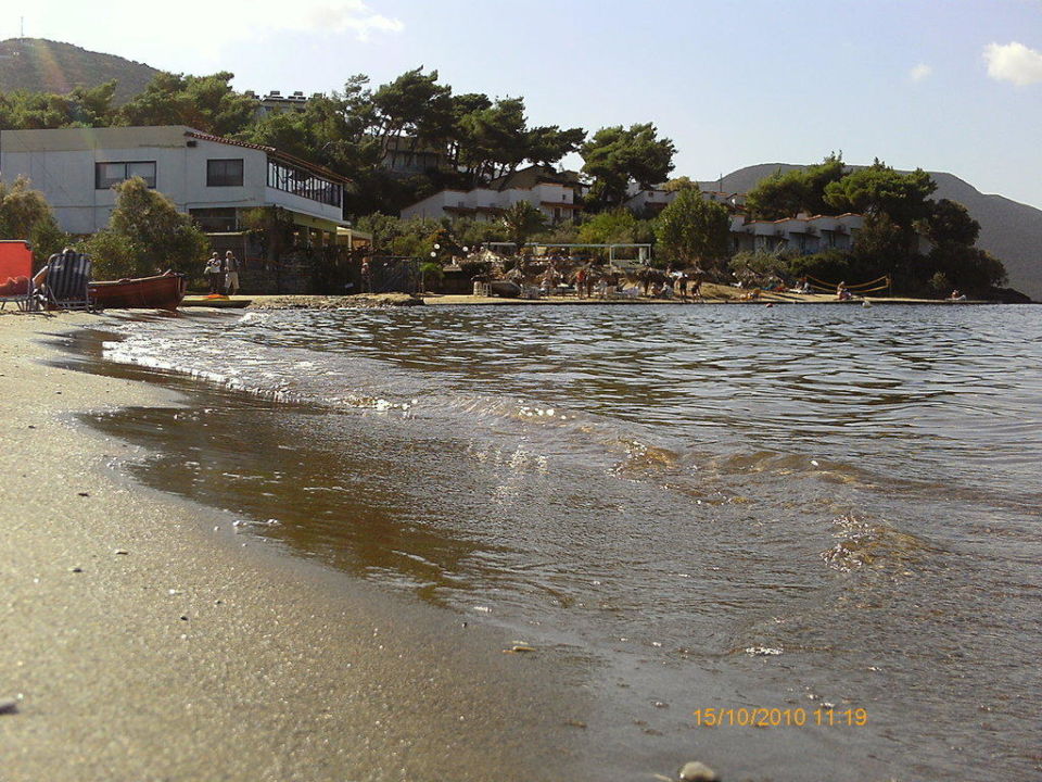 "Hotelanlage" Hotel Venus Beach (Nea Stira) • HolidayCheck (Evia ...