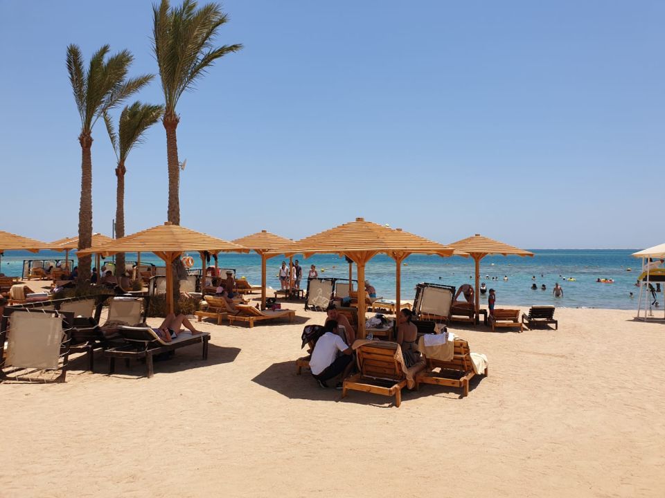 "Strand" Steigenberger Aqua Magic (Hurghada) • HolidayCheck (Hurghada ...