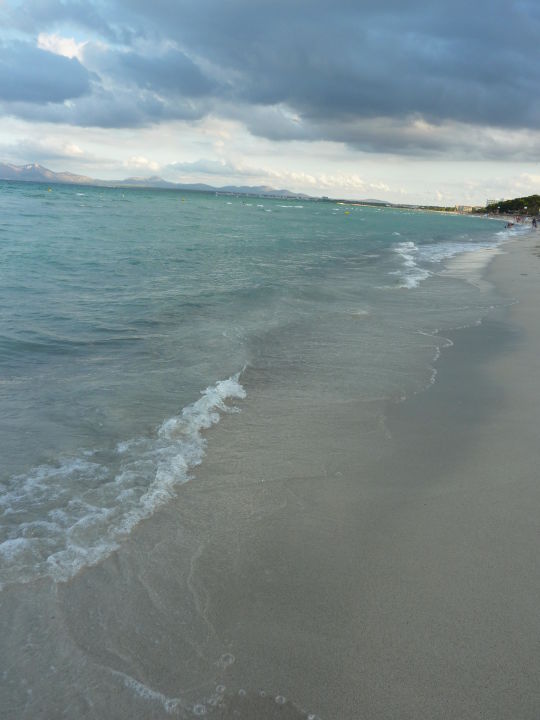 "Sauberer Strand, klares Meer" JS Alcudi Mar (Platja de Muro / Playa de ...