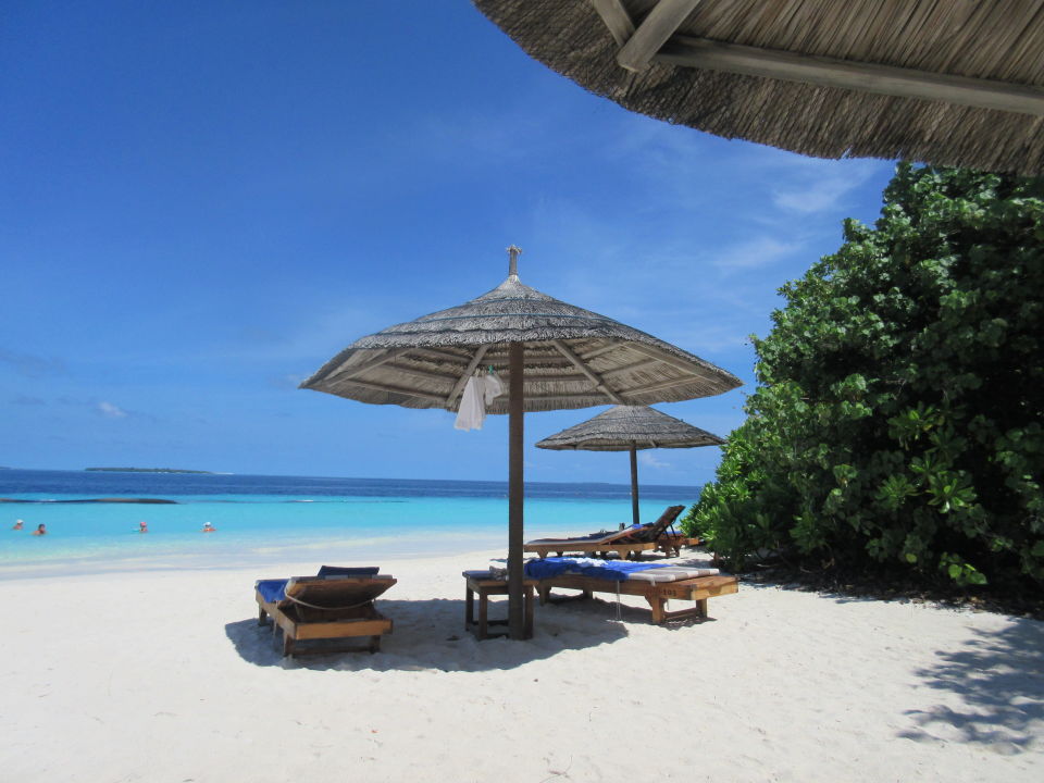 "Strand" Reethi Beach Resort (Eydhafushi) • HolidayCheck (Baa Atoll ...