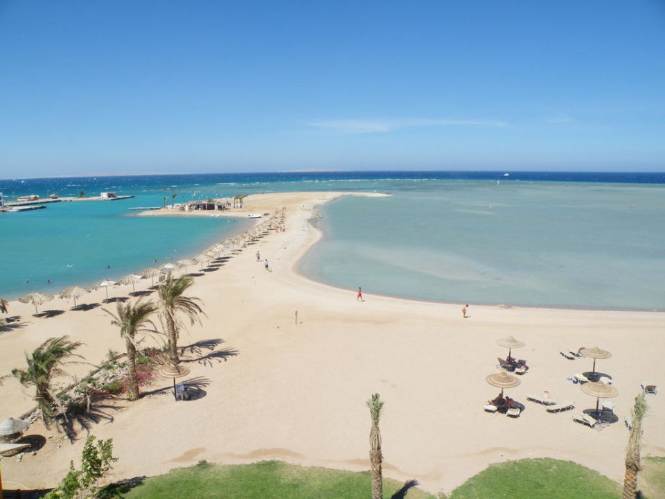 "Strand" Jaz Aquamarine Resort (Hurghada) • HolidayCheck (Hurghada ...