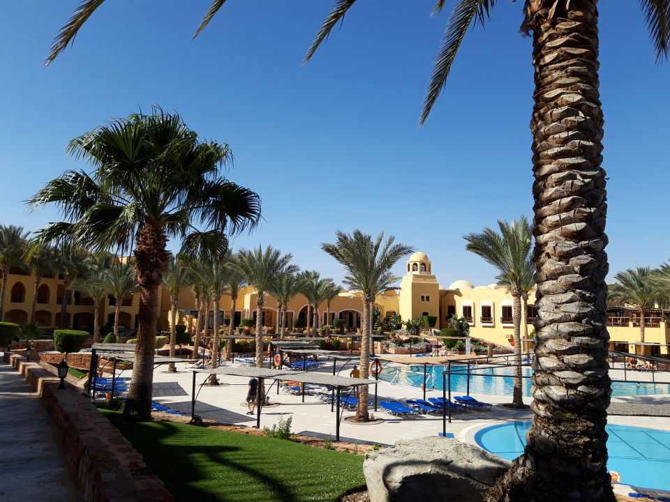 "Außenansicht" Jaz Solaya (Marsa Alam) • HolidayCheck (Marsa Alam/El ...