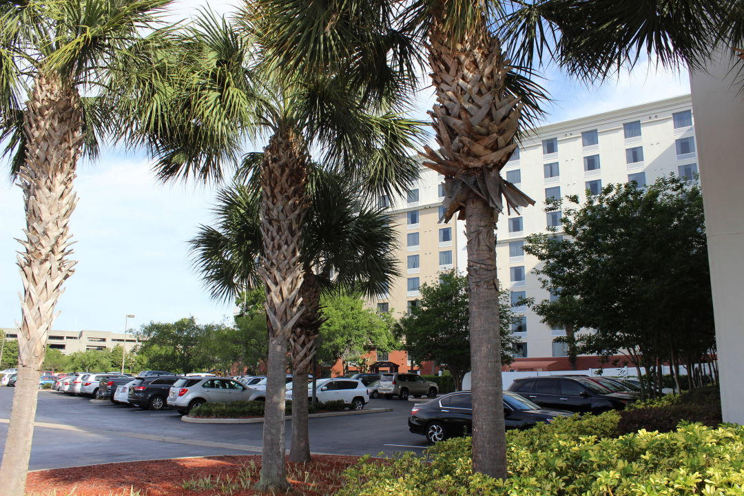 "Hotel" Holiday Inn Hotel & Suites Across From Universal Orlando ...