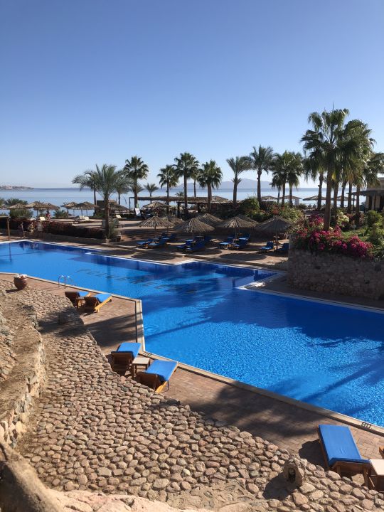 "Ausblick" Club Reef Hotel (Sharm el Sheikh) • HolidayCheck (Sharm el ...