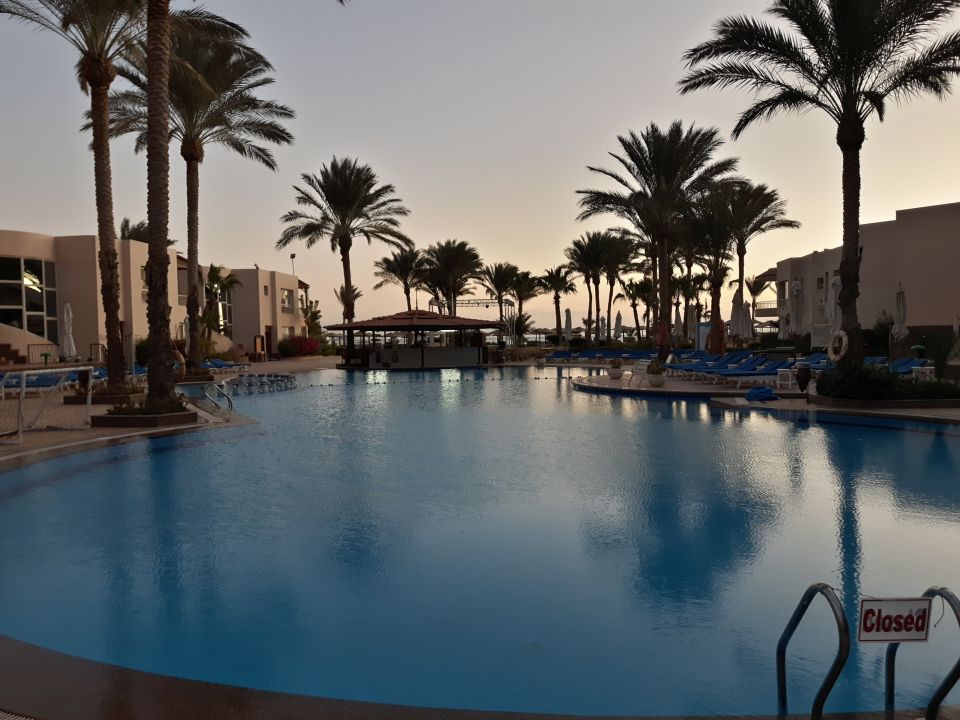 "Pool" Sea Star Beau Rivage (Hurghada) • HolidayCheck (Hurghada/Safaga ...