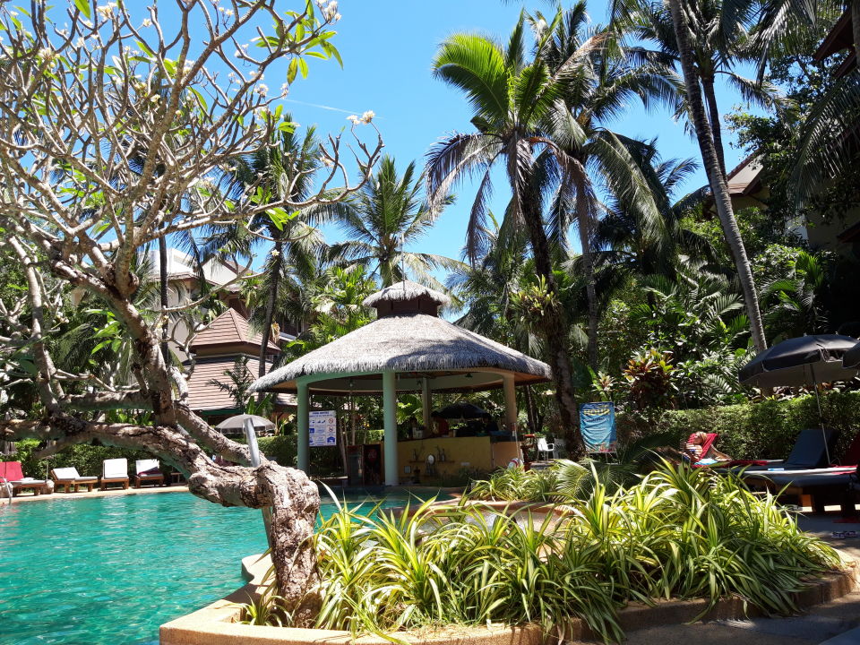"Pool" Kata Palm Resort & Spa (Kata Beach) • HolidayCheck (Phuket ...