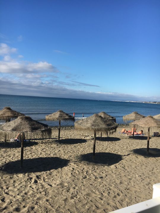 "Strand" Globales Playa Estepona (Estepona) • HolidayCheck (Costa del ...