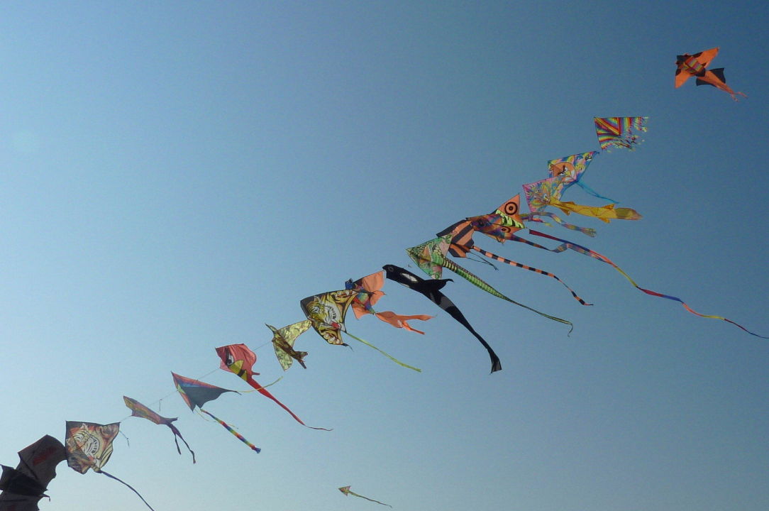 "Flugdrachen in allen Farben" Camping Capalonga (Bibione ...