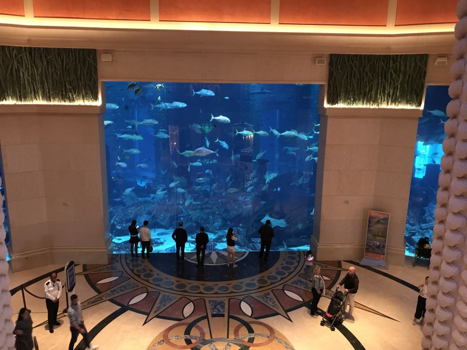 "Ambassador Lagoon" Atlantis The Palm (Dubai) • HolidayCheck (Dubai ...