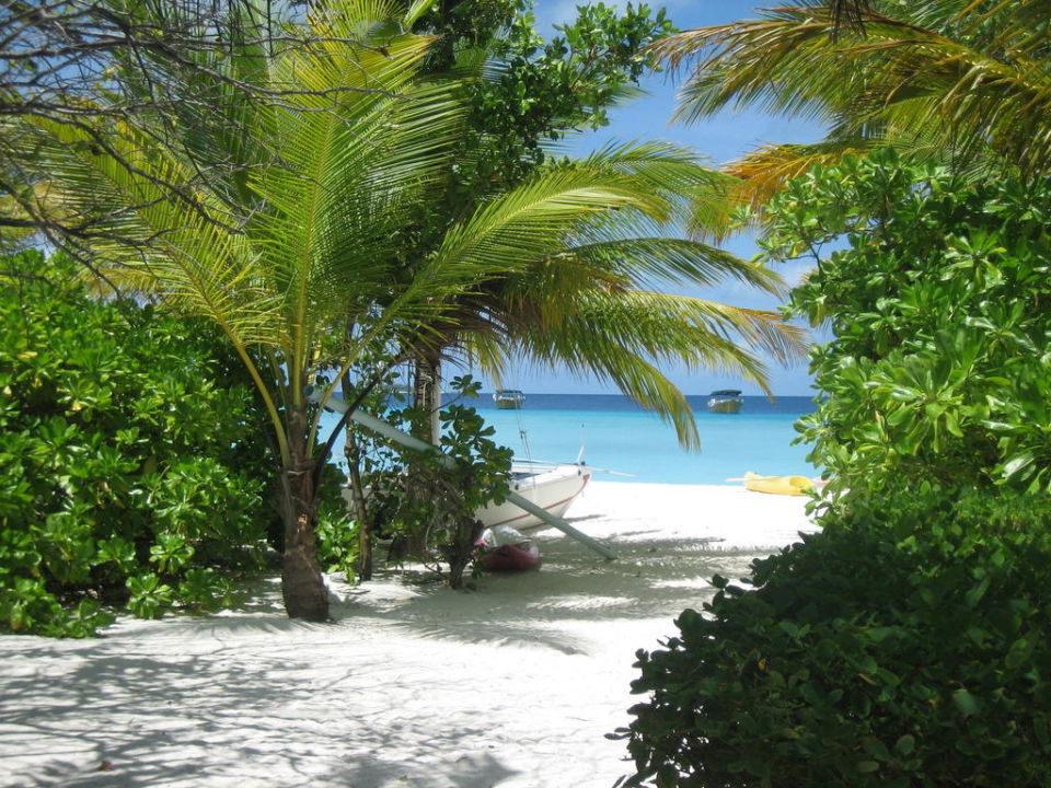 "Strand, Palmen und Meer" Summer Island Maldives (Gaafaru ...