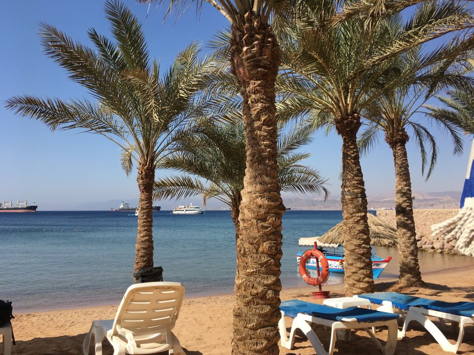 "Strand" Mövenpick Resort & Residences Aqaba (Aqaba) • HolidayCheck ...