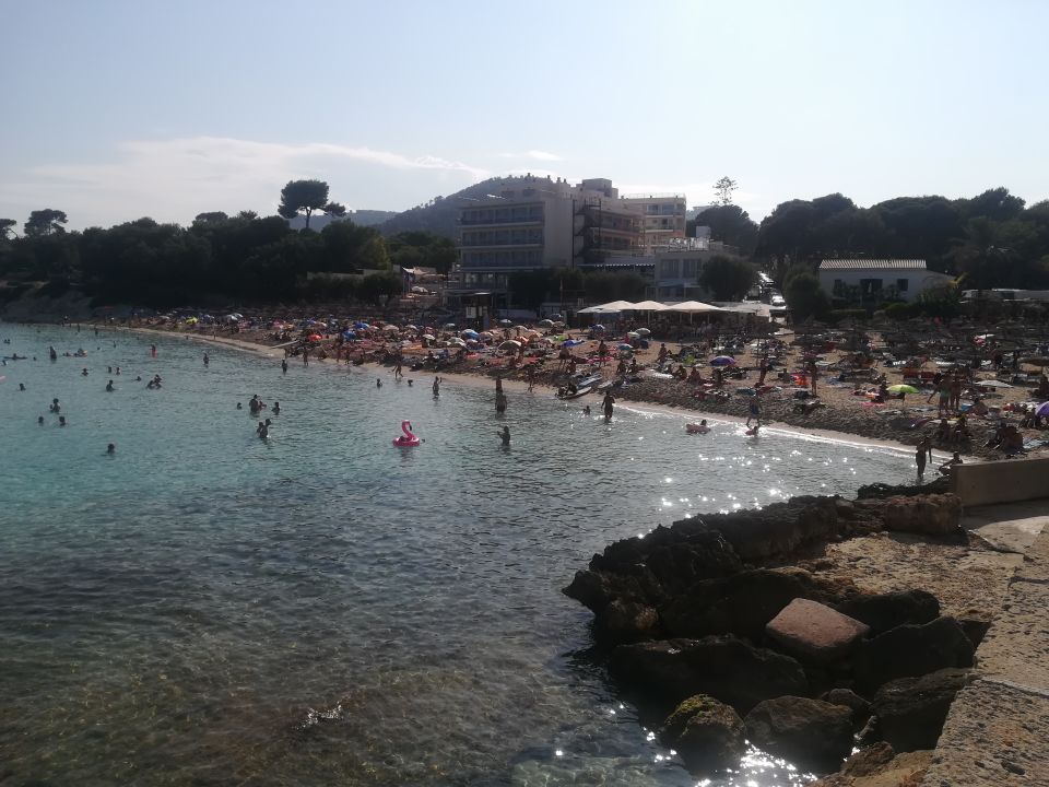 "Strand" Guya Wave Hotel (Cala Ratjada) • HolidayCheck (Mallorca | Spanien)