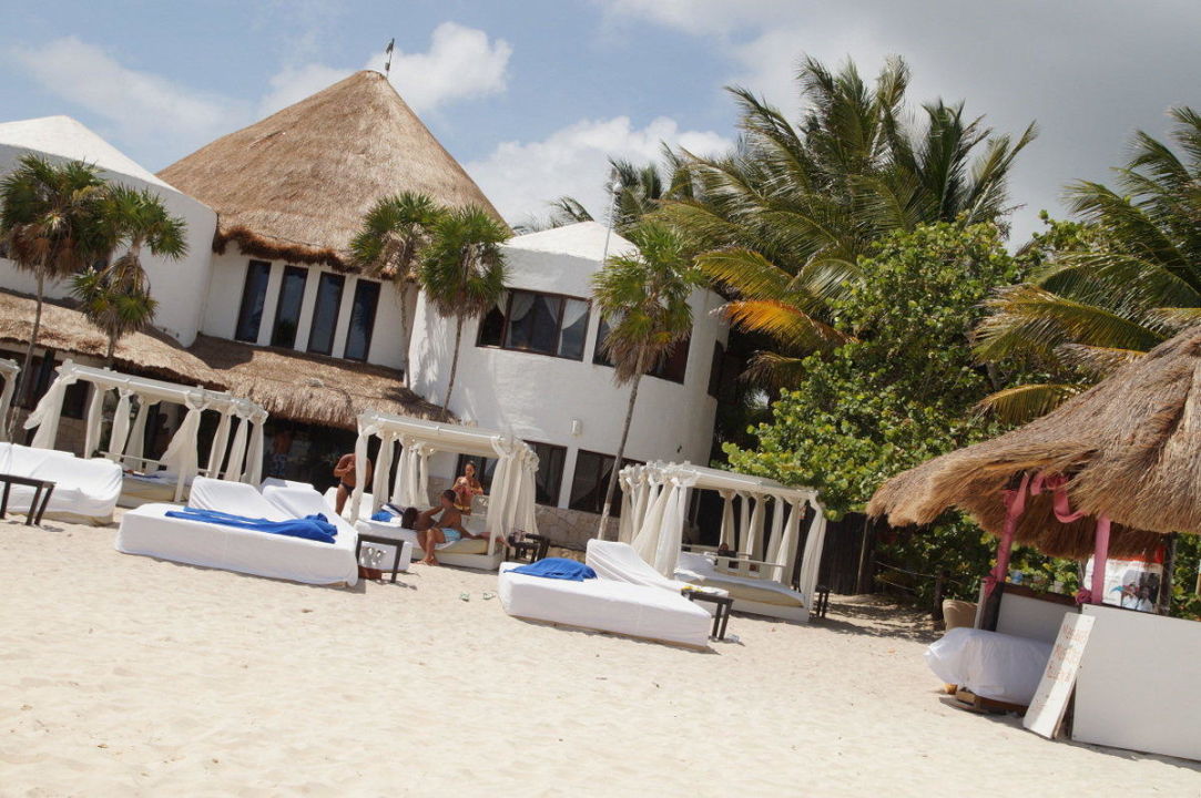 "Adult Select Club " Sandos Caracol Eco Resort & Spa Select Club Adults ...