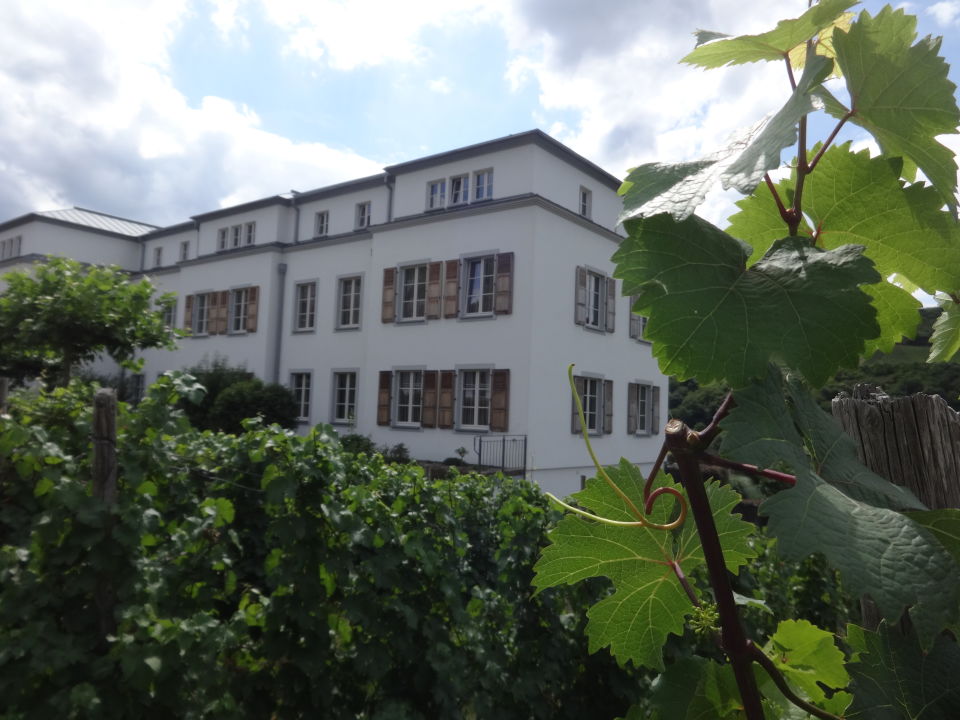 "Außenansicht" Weingutshotel St. Michael (Wintrich) • HolidayCheck ...