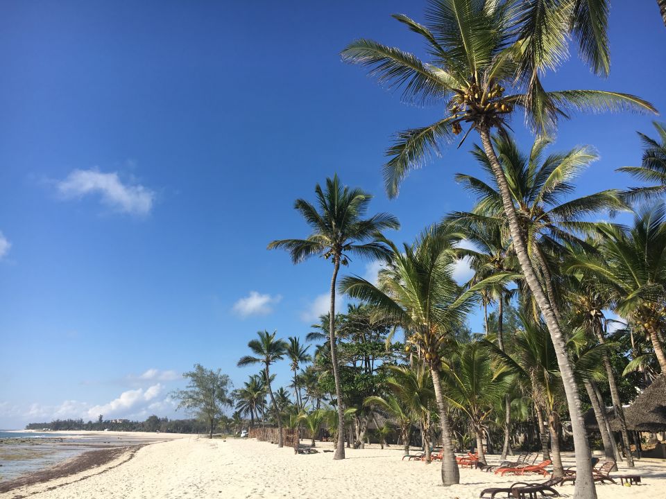 "Strand" Resort Amani Tiwi Beach (Tiwi Beach) • HolidayCheck (Provinz ...