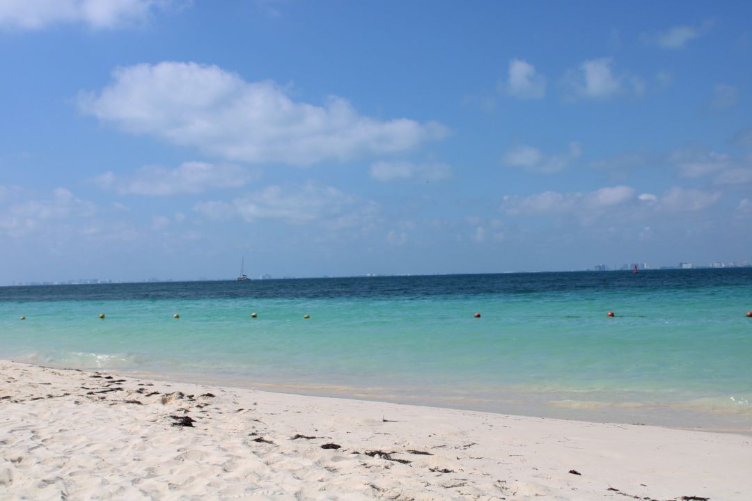 "Strand" Dreams Playa Mujeres Golf & Spa Resort (Punta Sam ...