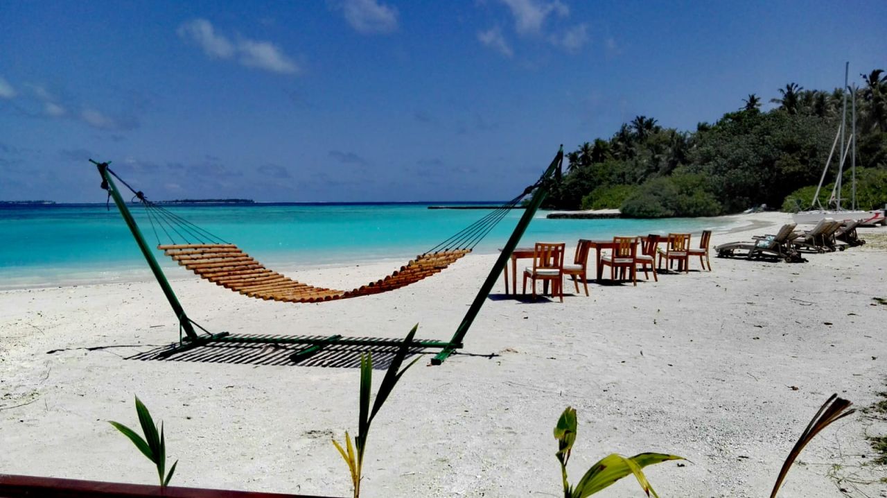 "Strand" Makunudu Island (Gaafaru) • HolidayCheck (Kaafu Atoll | Malediven)