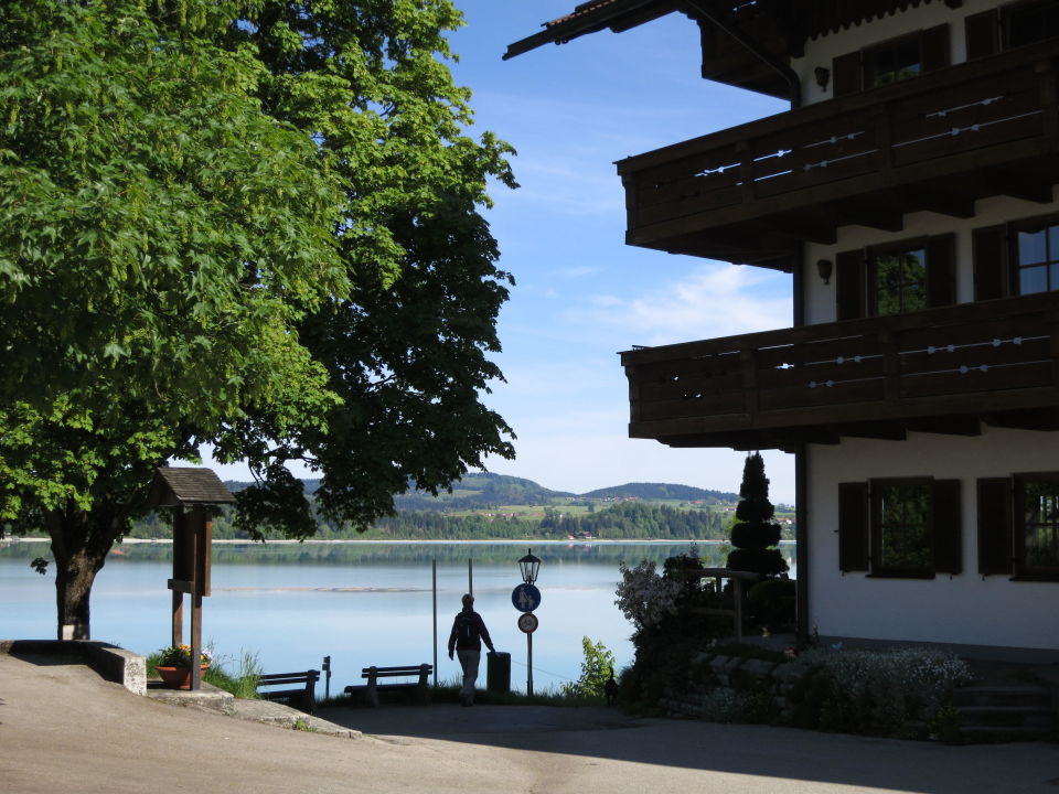 "Der Forggensee direkt vor dem Hotel" Hotel Gasthof am See (Schwangau ...