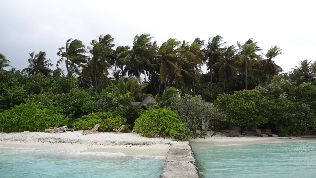 "Strand" Makunudu Island (Gaafaru) • HolidayCheck (Kaafu Atoll | Malediven)