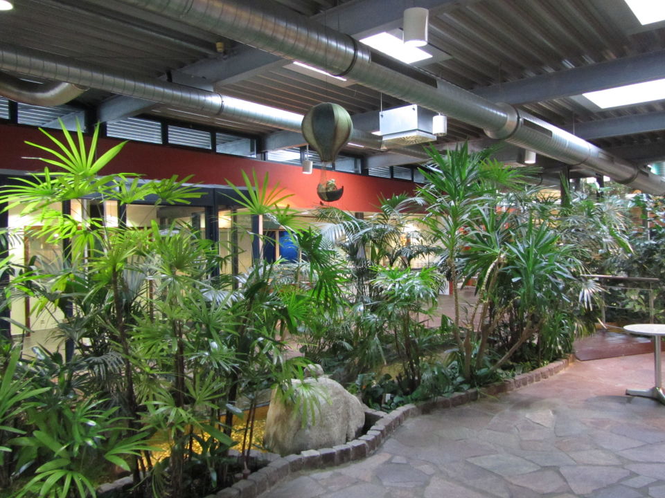 "Bachlauf Euro-Tropic-Halle" Eurostrand Resort Lüneburger Heide (Fintel ...