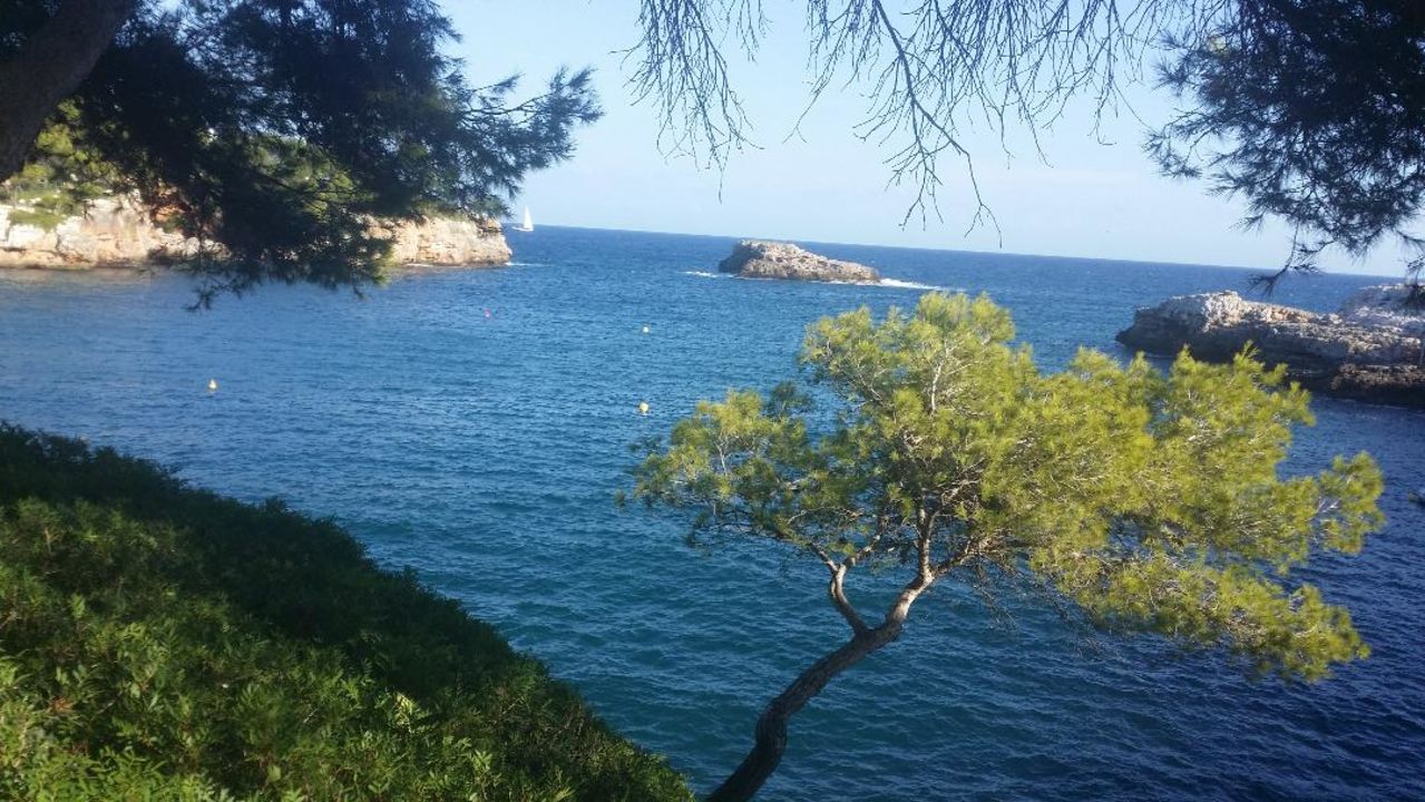 "Strand" Inturotel Cala Azul (Cala d'Or) • HolidayCheck (Mallorca ...