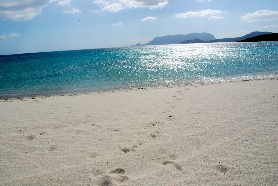 "Pittulongu Beach" Stefania Boutique Hotel (Pittulongu) • HolidayCheck ...