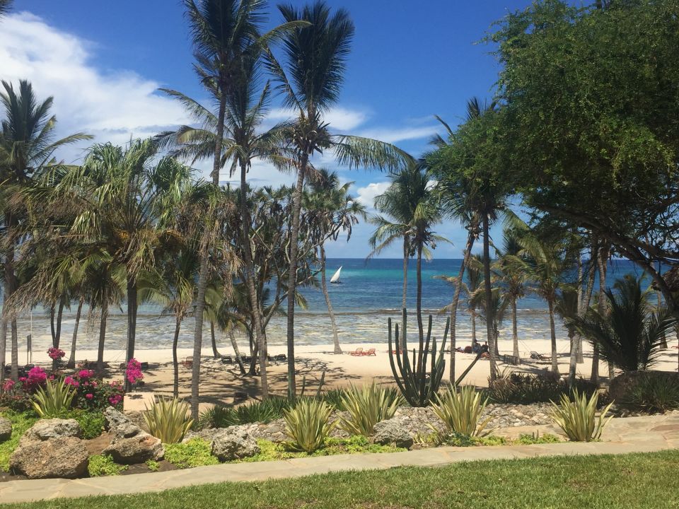 "Strand" Resort Amani Tiwi Beach (Tiwi Beach) • HolidayCheck (Provinz ...