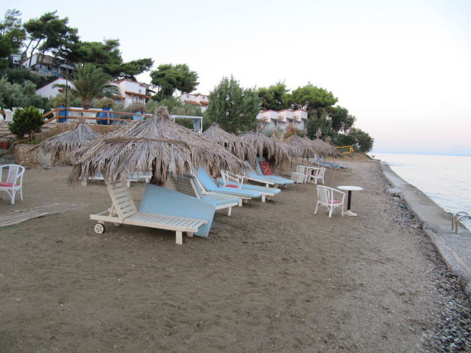 "Hotelstrand" Hotel Venus Beach (Nea Stira) • HolidayCheck (Evia ...