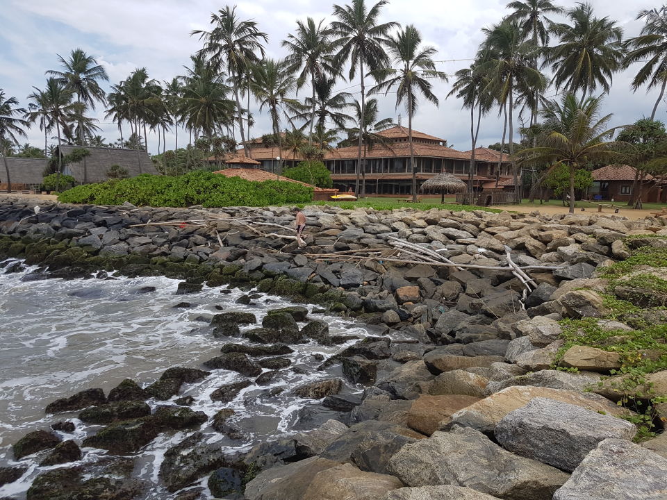 "Außenansicht" Ranweli Holiday Village (Waikkal) • HolidayCheck (Sri ...