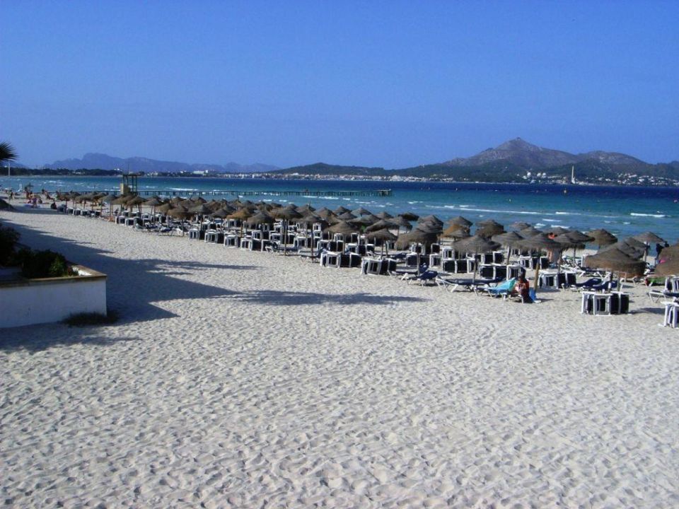 "Strand" JS Alcudi Mar (Platja de Muro / Playa de Muro) • HolidayCheck ...