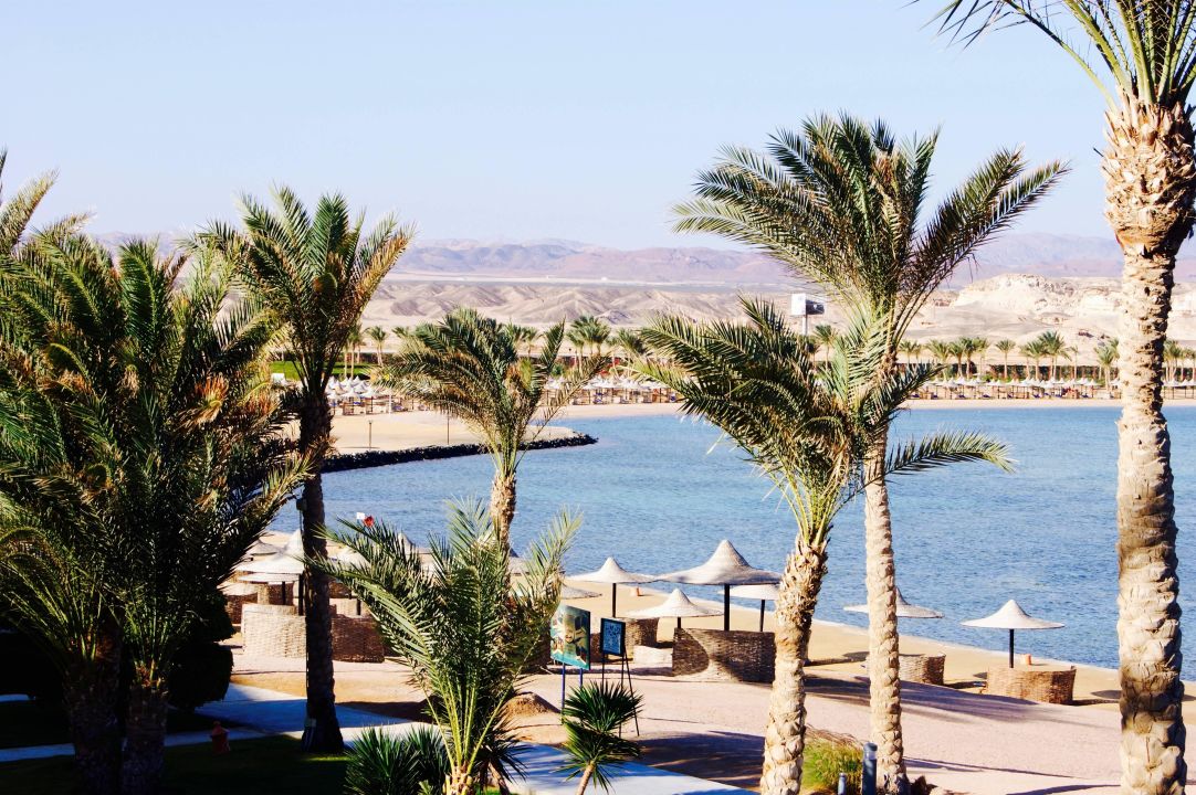 "Coraya-Bay" Jaz Samaya (Marsa Alam) • HolidayCheck (Marsa Alam/El ...