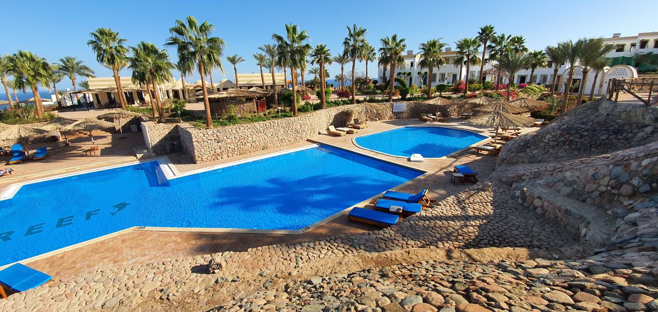 "Pool" Club Reef Hotel (Sharm el Sheikh) • HolidayCheck (Sharm el ...
