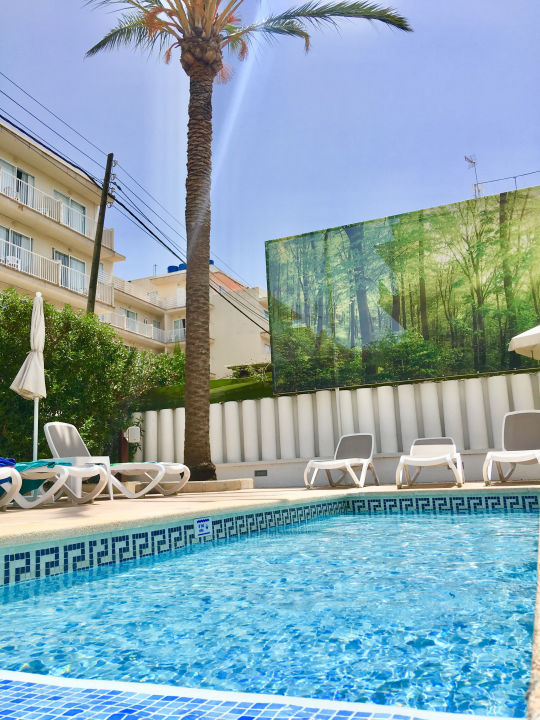 "Pool" Azuline Hotel Bahamas (El Arenal / S'Arenal) • HolidayCheck ...